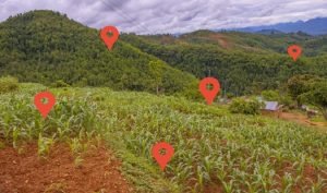 First time in country 'village-level crop map' launched by Agri-tech ...
